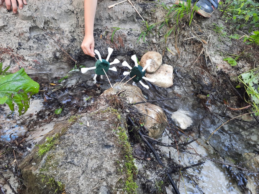 PŠ Kamno: Naravoslovni dan ob Soči | OŠ Tolmin